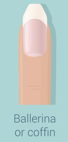 Nail Shapes Chart: The Most Popular Nail Shapes