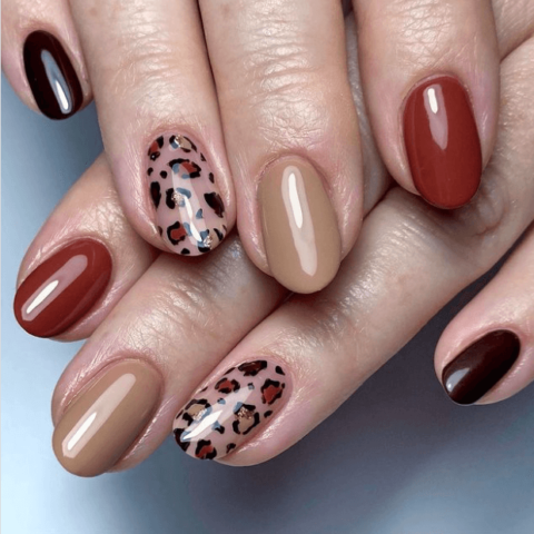 70 Animal Print Nail Designs for a Trendy Mani